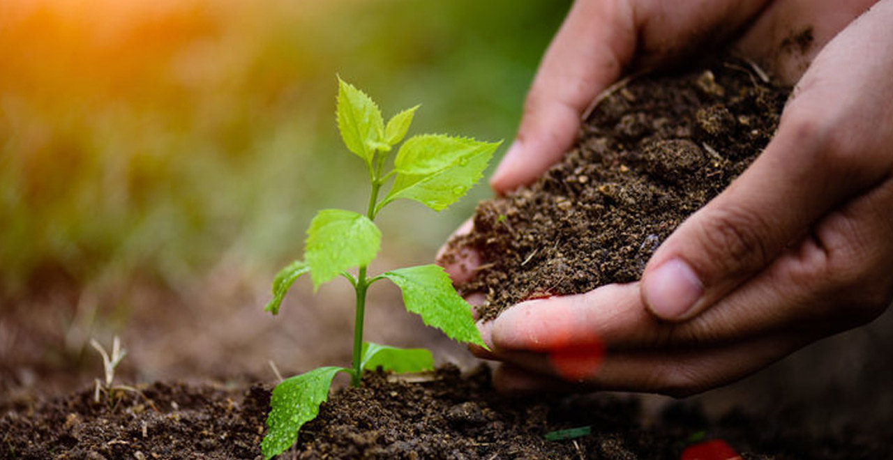 Call to Action - Nature Studies Conservatory